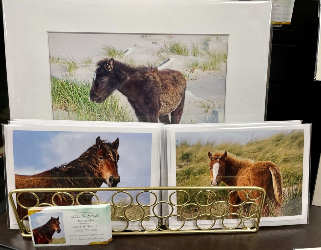 Gift Shop - DesBrisay Museum