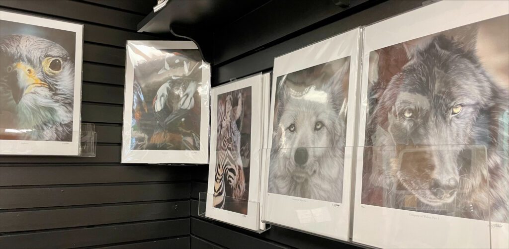 Gift Shop - DesBrisay Museum